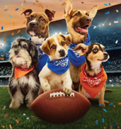 Sweepstakes | 2026 Valpak Puppy Bowl Sweepstakes