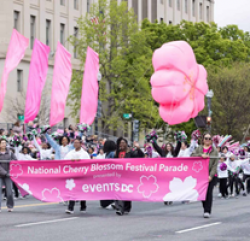 Sweepstakes | National Cherry Blossom Festival Sweepstakes